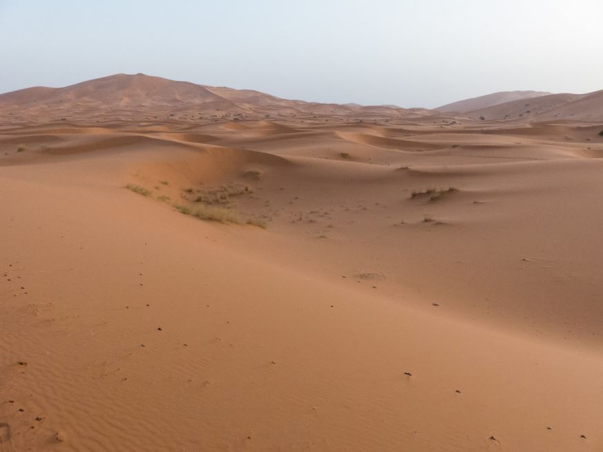 Ansvarlig næringsliv og Vest-Sahara: Vestland ett steg videre? - Bergen ...